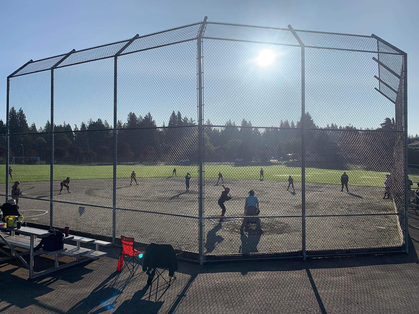 Home - North Langley Softball